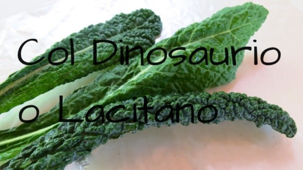 Todo lo que necesitas saber sobre el kale o col rizada.