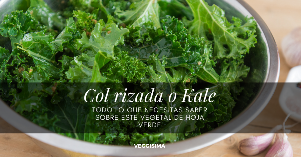 Todo lo que necesitas saber sobre el kale o col rizada.