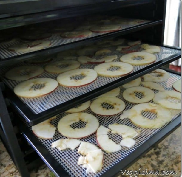 Cómo Deshidratar Manzanas En Casa